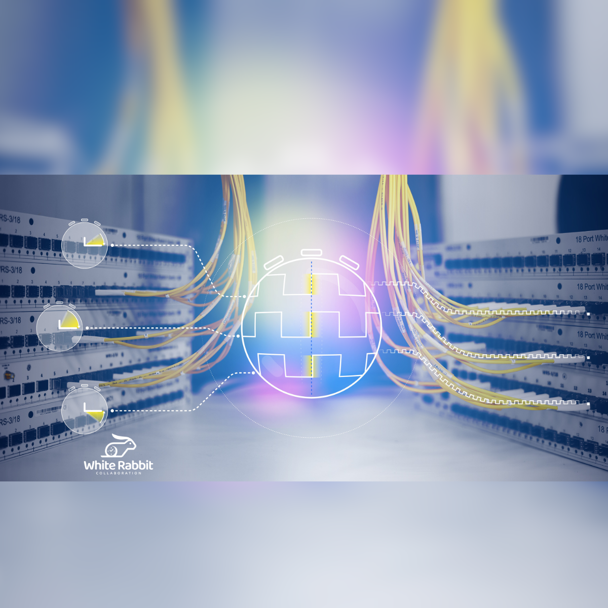 IQD joins the White Rabbit Collaboration